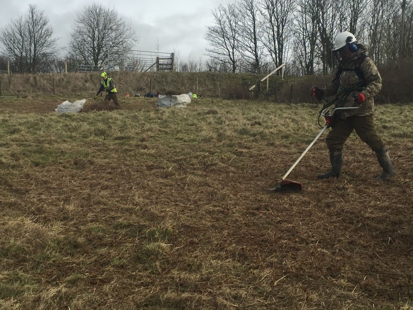 Hog Cliff National Nature Reserve - Weymouth Tree Surgeon Coastal Tree Care