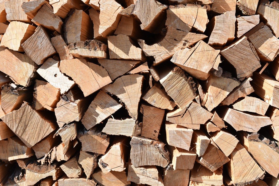 Unseasoned Softwood Logs - Coastal Tree Care
