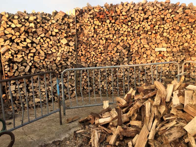 Coastal Tree Care – Weymouth Tree Surgeon